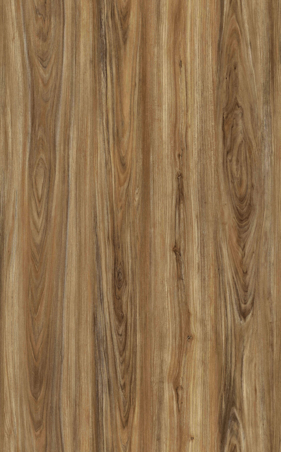 Hometown – Happy Customers International